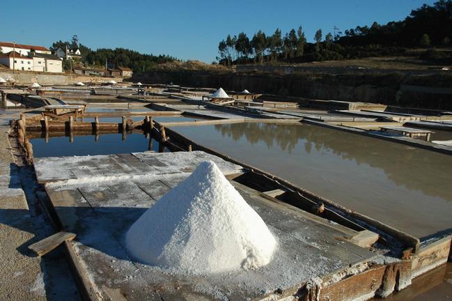 Informação do produto - PTPT